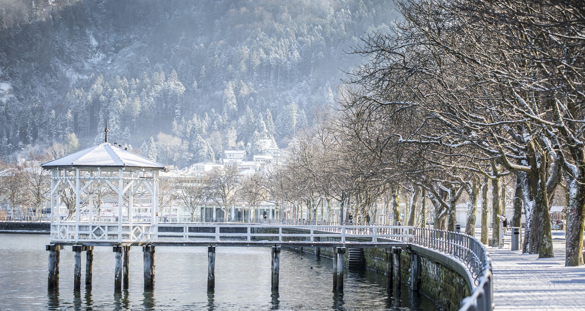 Bodensee Vorarlberg Tourismus | Urlaub am Bodensee, Vorarlberg