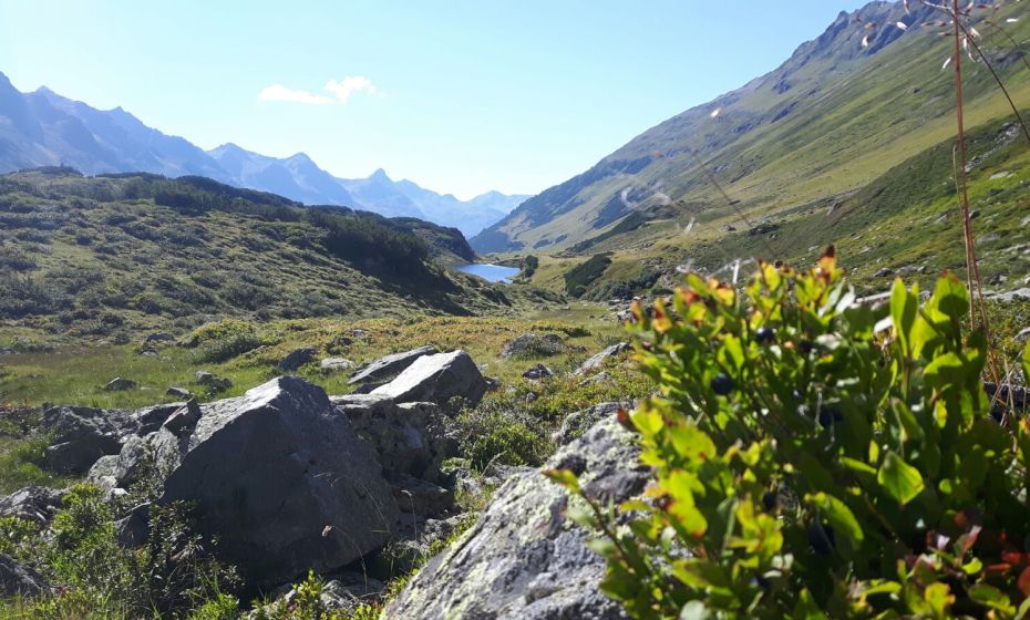 Emil-Roth-Weg im Europaschutzgebiet Verwall | Urlaub am Bodensee ...