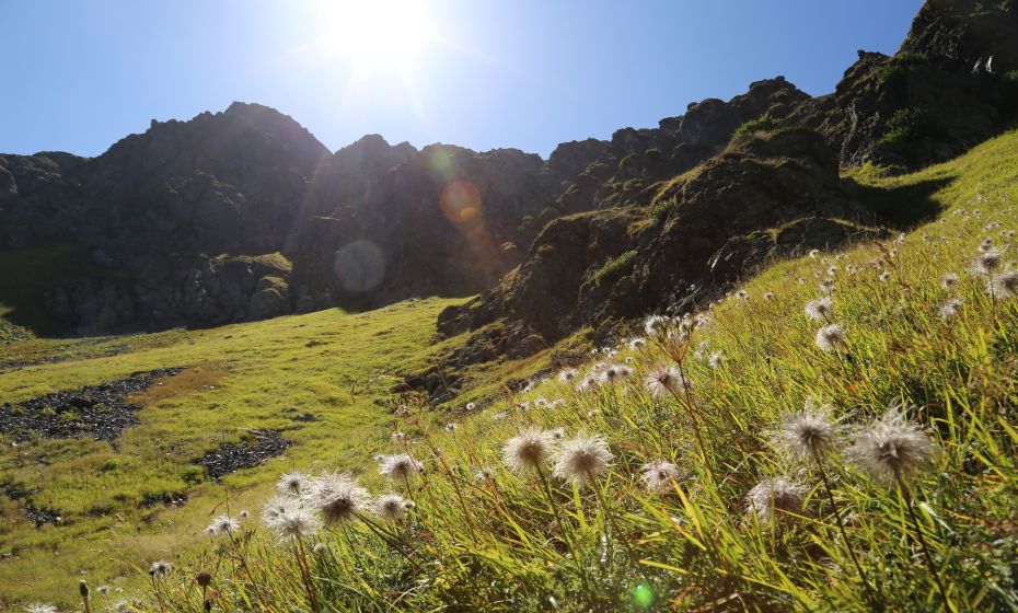 Rund um die Tschaggunser Mittagsspitze | Urlaub am Bodensee, Vorarlberg